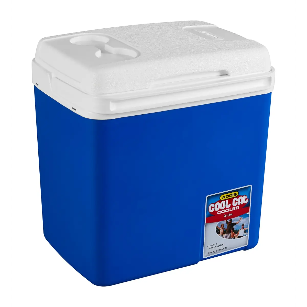 Addis Turquoise Coolcat Cooler Box 26L | ADDIS – Al's Hardware